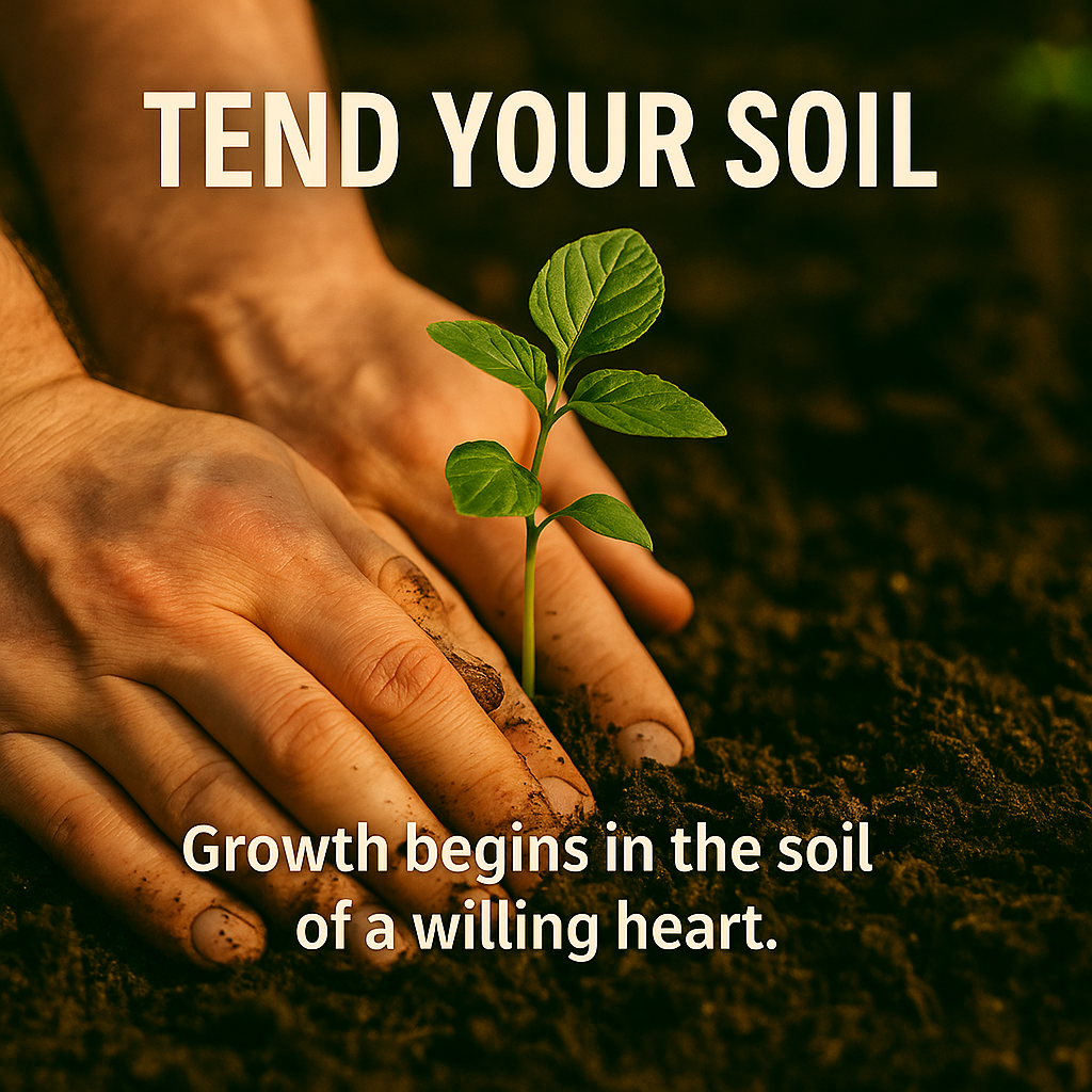 The Slow Test: Measuring Growth by the Fruit - Disciple Blueprint